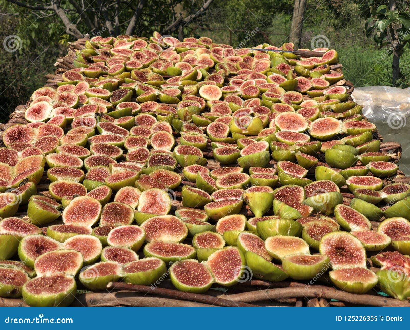 FIGS DRY in SUN stock image. Image of peper, honey, albania - 125226355