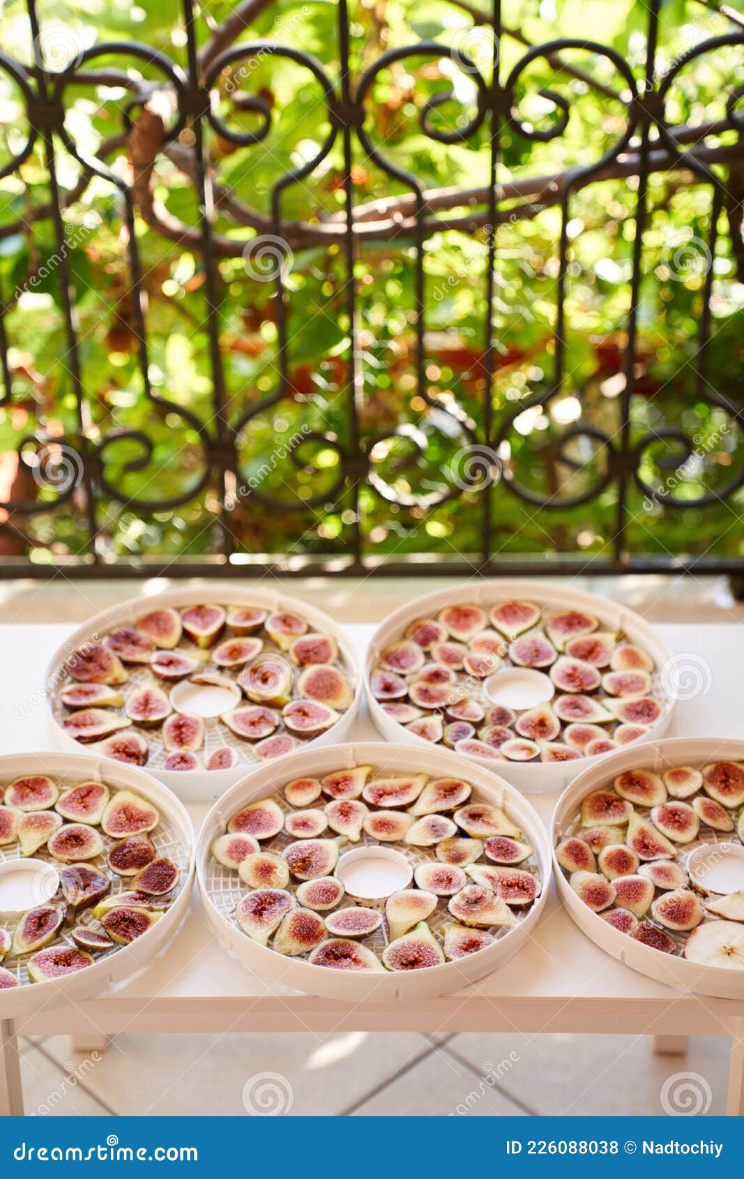Figs Drying Process on Plates on the Table on the Balcony Stock Photo ...
