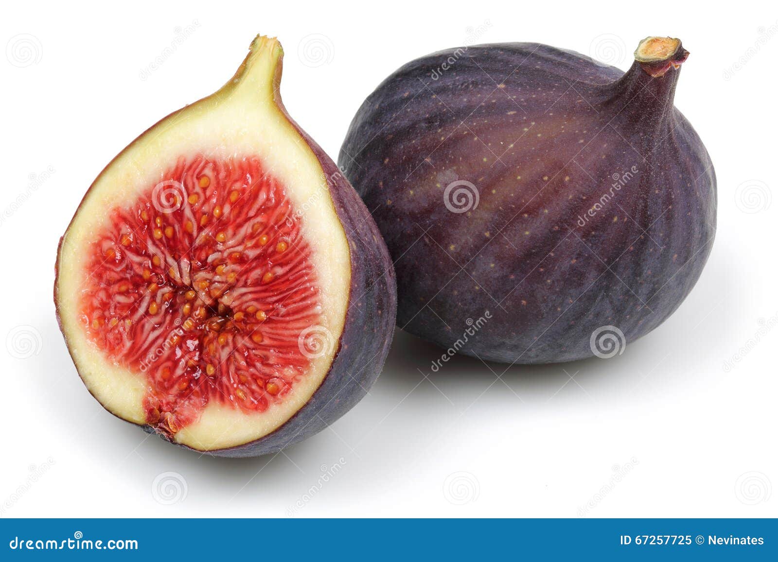 Figs Royalty-Free Stock Image | CartoonDealer.com #6083944