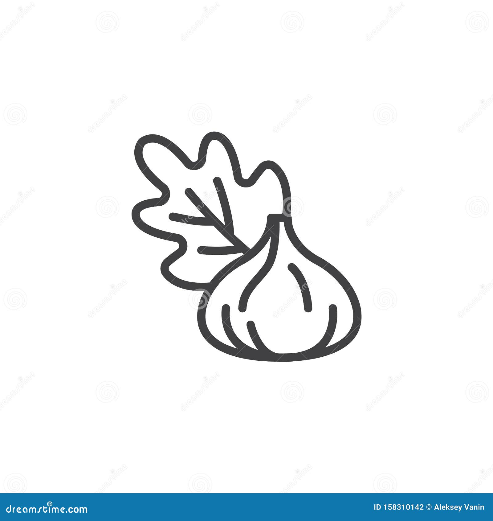 Figs fruit line icon stock vector. Illustration of graphics - 158310142