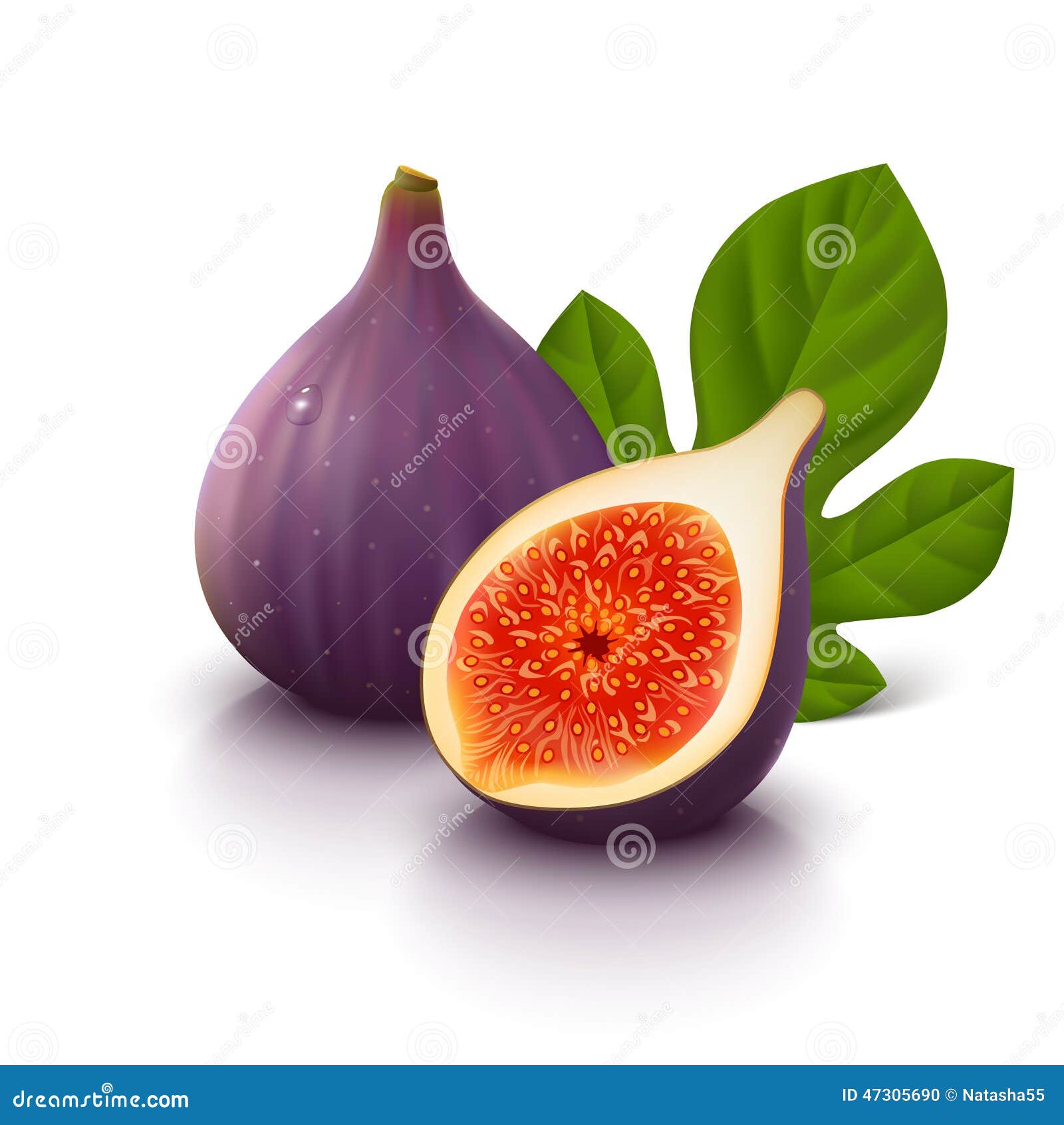 Figs Fruit on White Background Stock Vector - Illustration of sweet ...