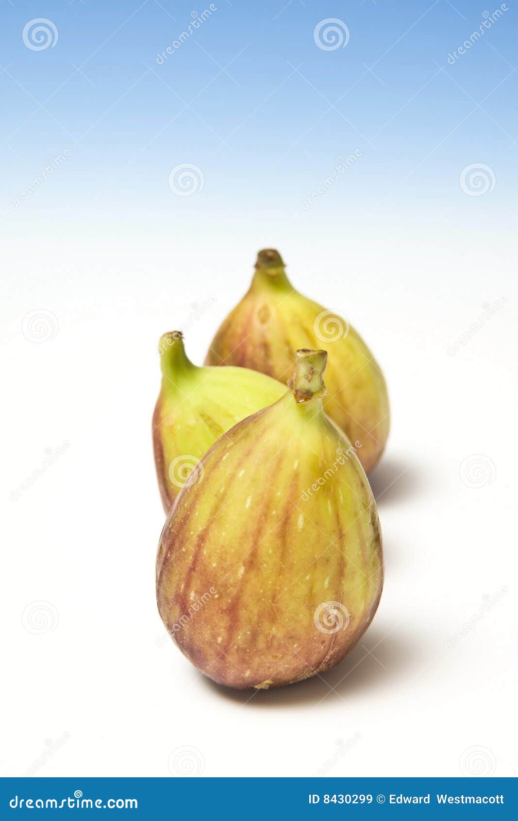 Figs on light background stock image. Image of ripened - 8430299