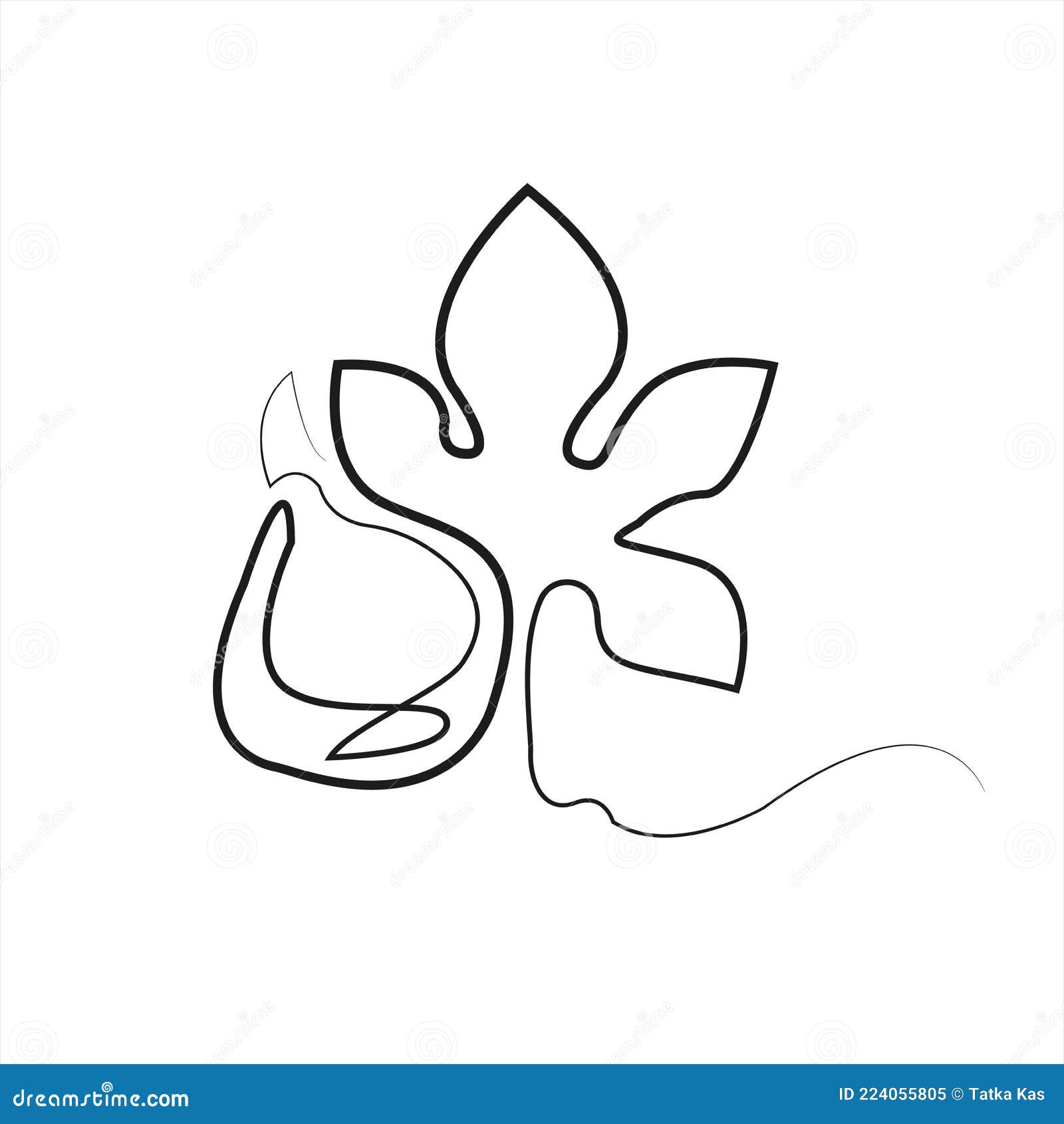 Figs - One Line Drawing.Figs and Leaf in Continuous Line Drawing Style ...