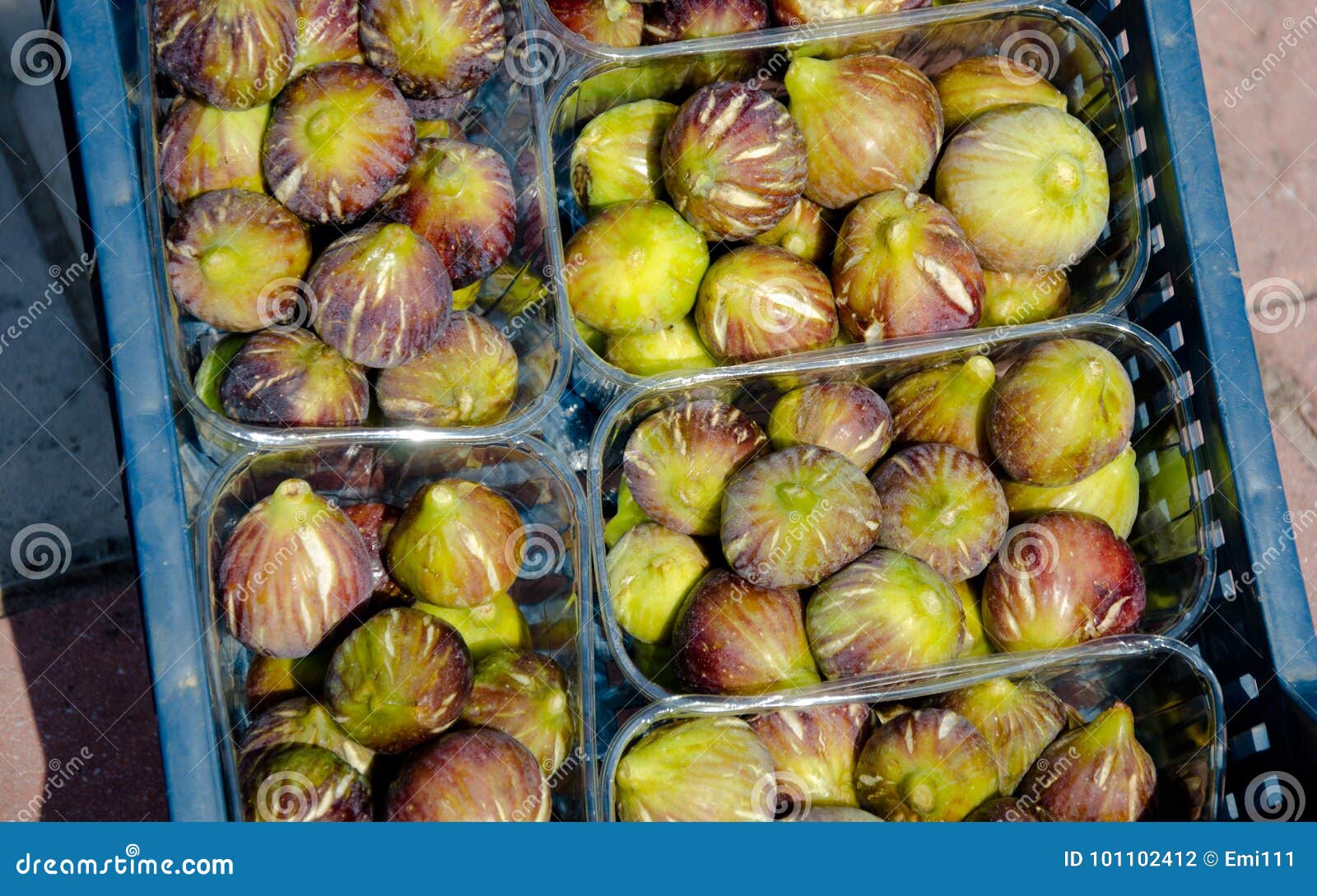 Figs in plastic crates stock photo. Image of organic - 101102412