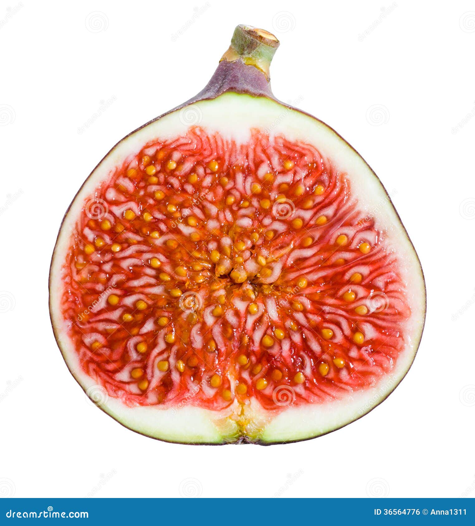 14,395 Ripe White Figs Stock Photos - Free & Royalty-Free Stock Photos ...