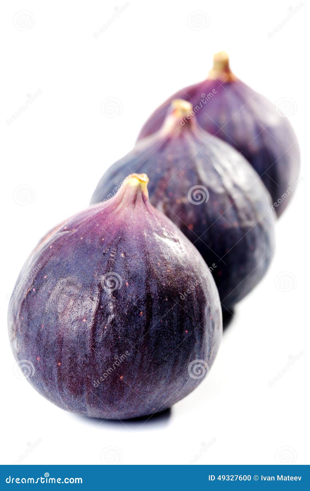 Figs in a row stock photo. Image of stilllife, front - 49327600