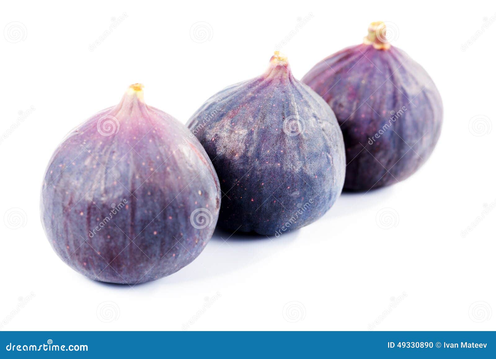 Figs in a row stock photo. Image of vibrant, objects - 49330890