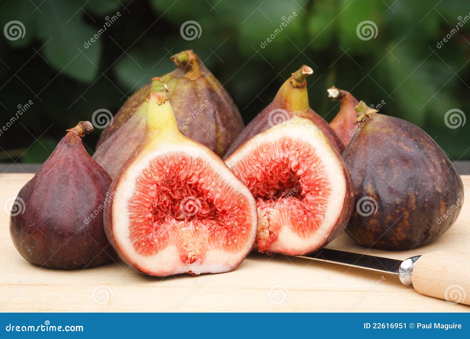 Figs still life stock image. Image of carica, foods, detail - 22616951 Figs still life stock image. Image of carica, foods, detail - 22616951