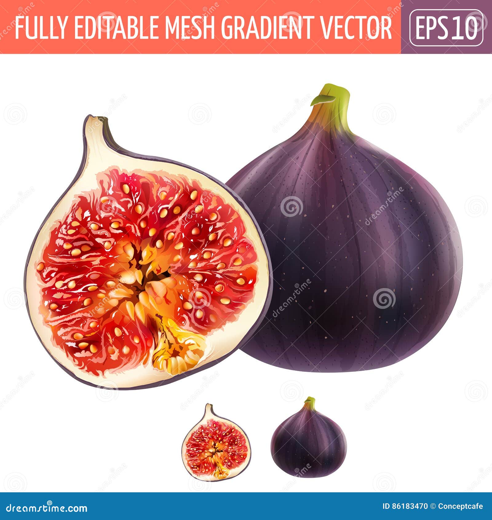 Figs on White Background. Vector Illustration Stock Vector ...