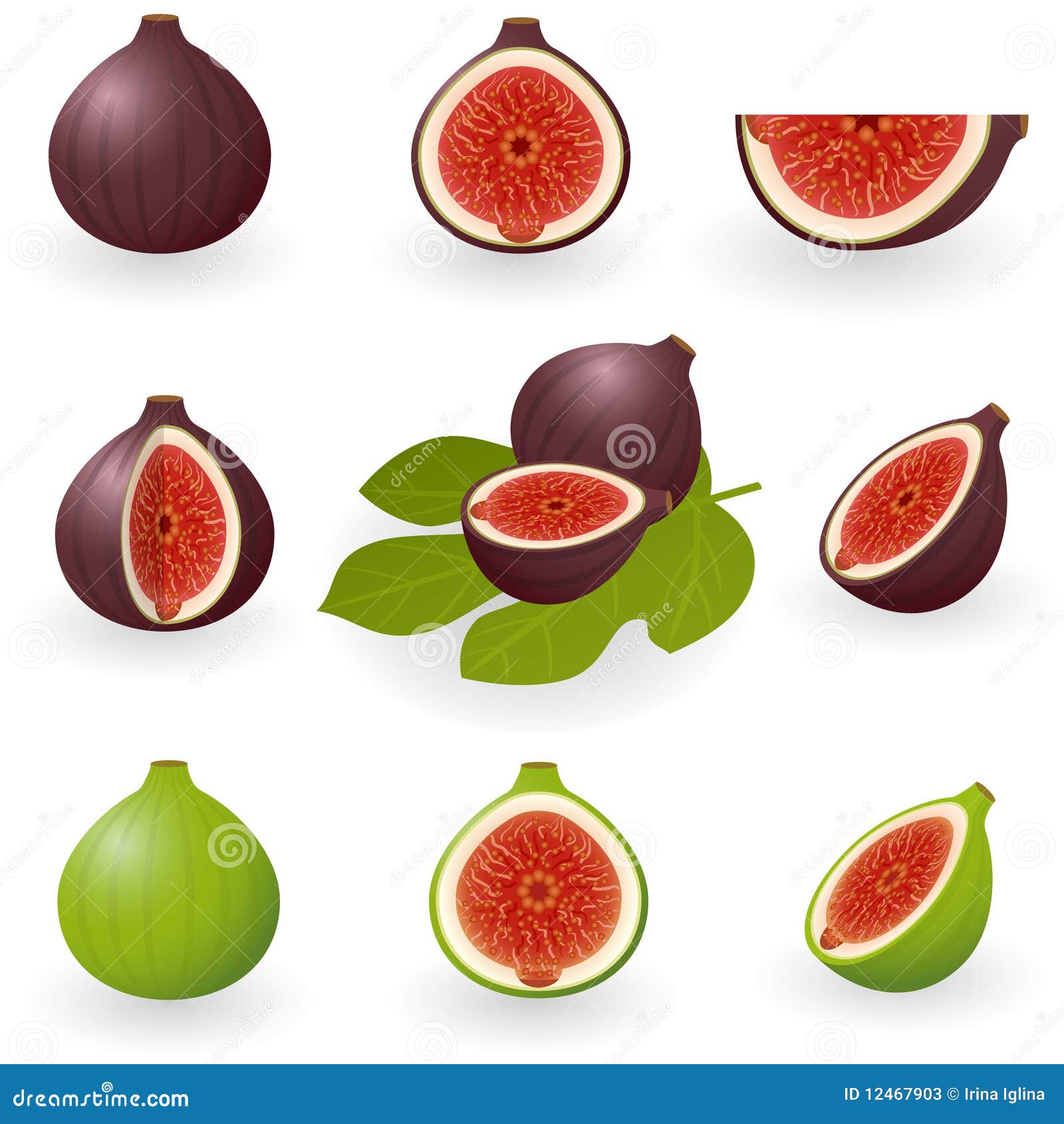 Figues illustration de vecteur. Illustration du figues - 12467903