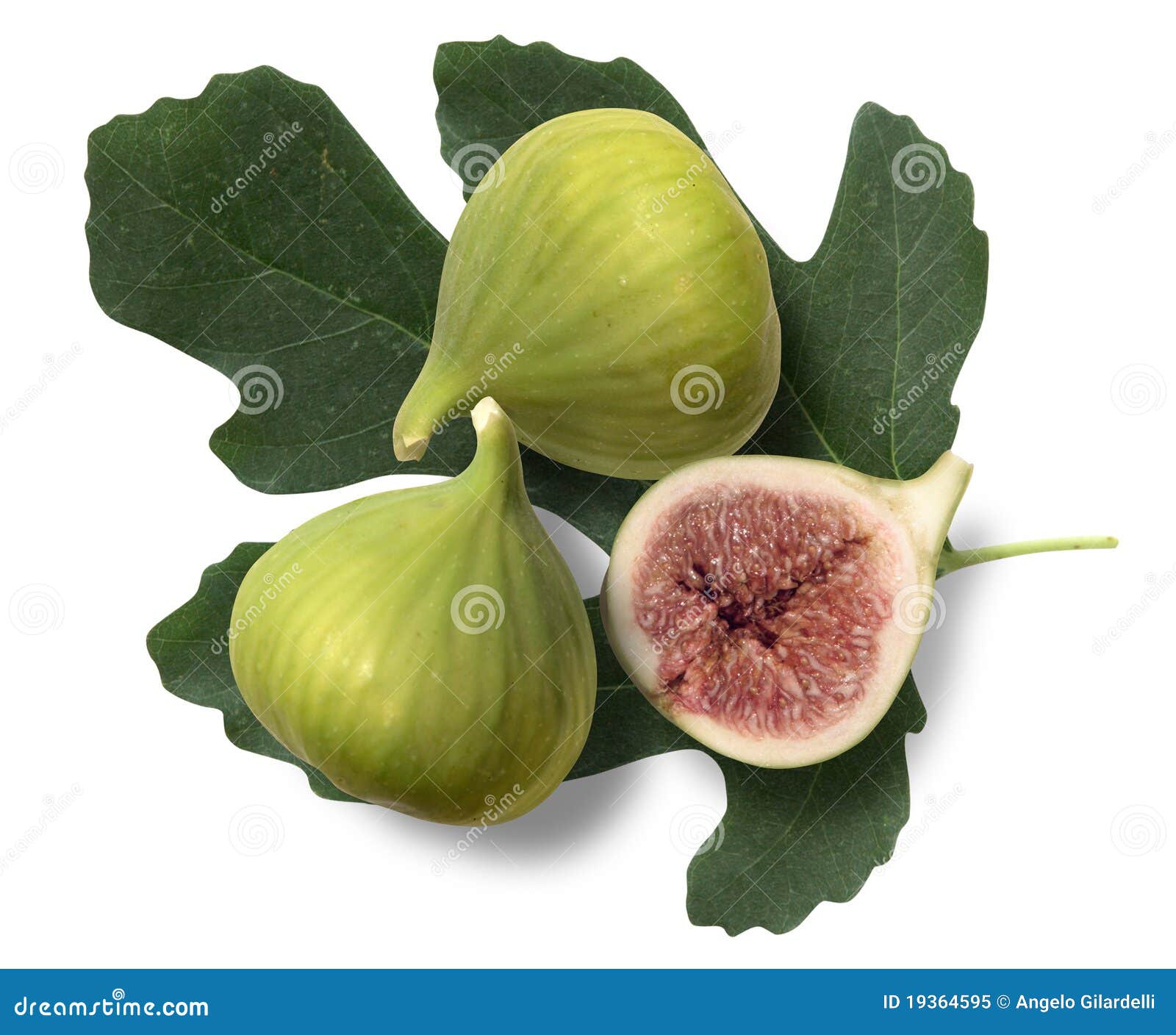 Figues stock image. Image of extinguishing, firefighter - 19364595