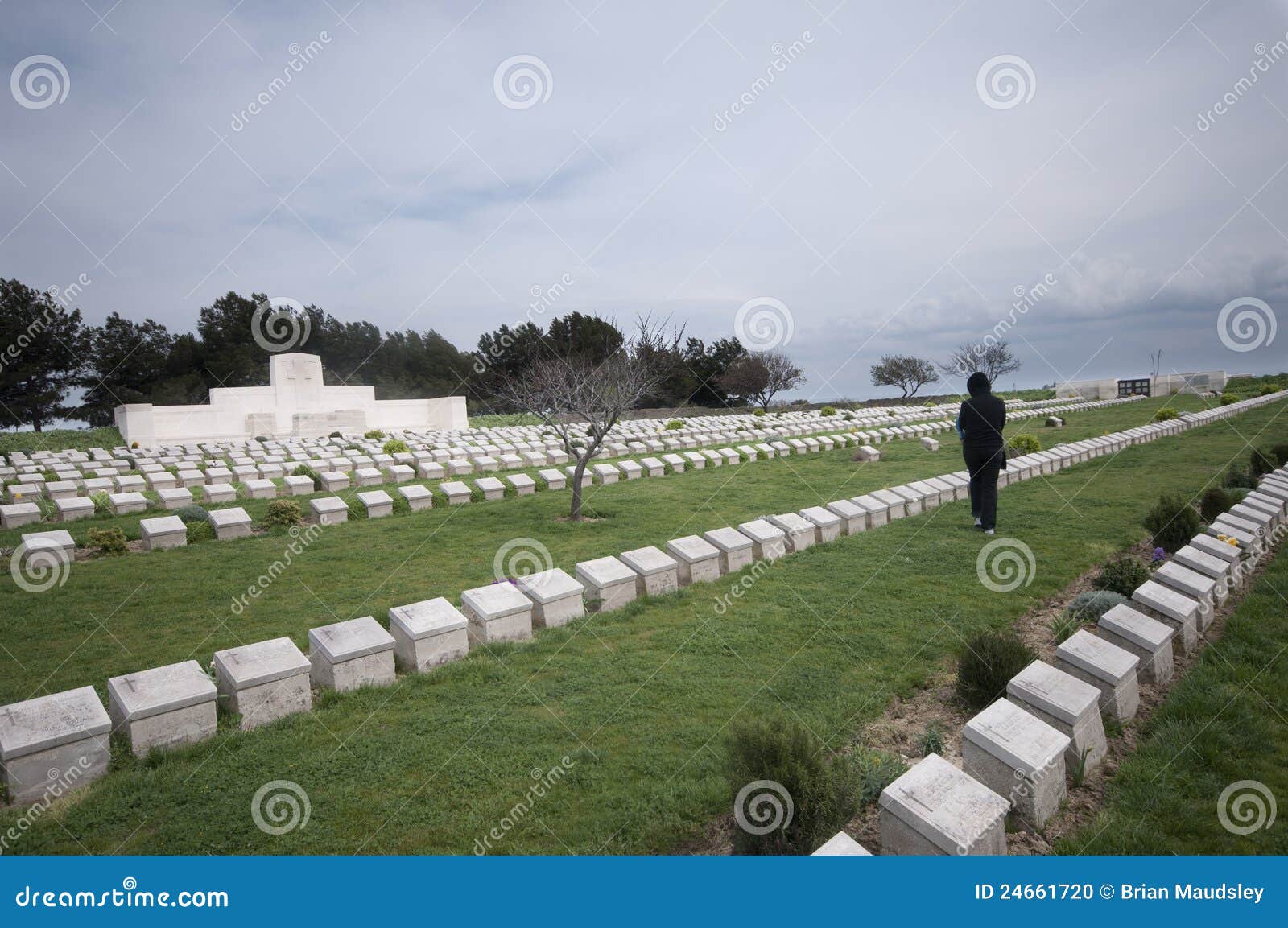 Figure in Black Reading Gravestones, Gallipoli Stock Photo - Image of ...