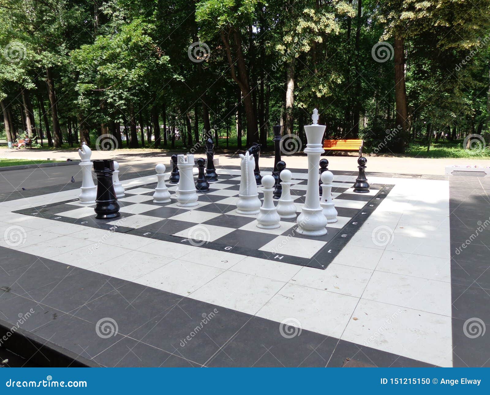 Figure of Chess in the Park. Stock Photo - Image of peasant ...
