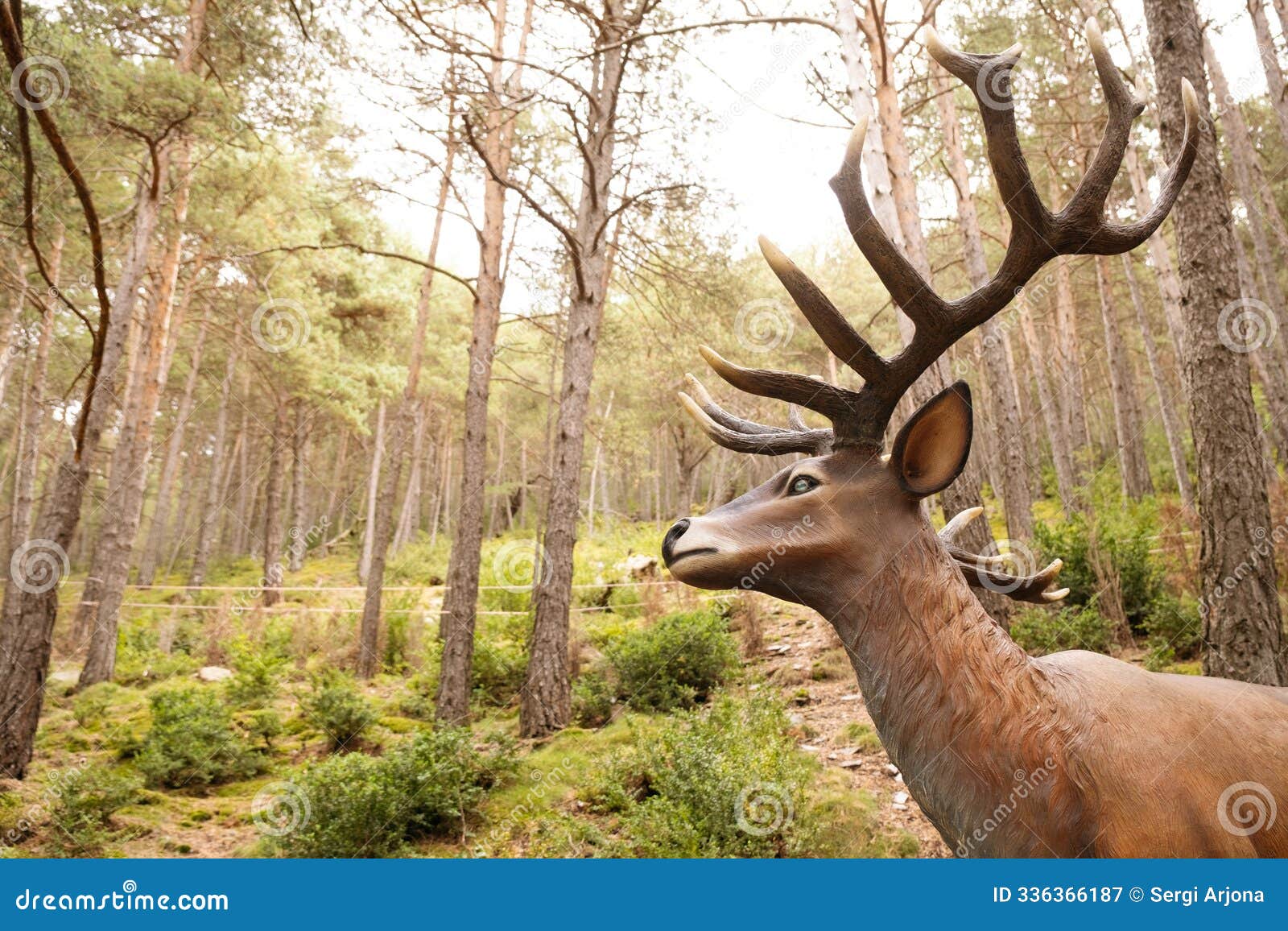 Figure of a Deer in the Middle of the Forest Stock Image - Image of ...