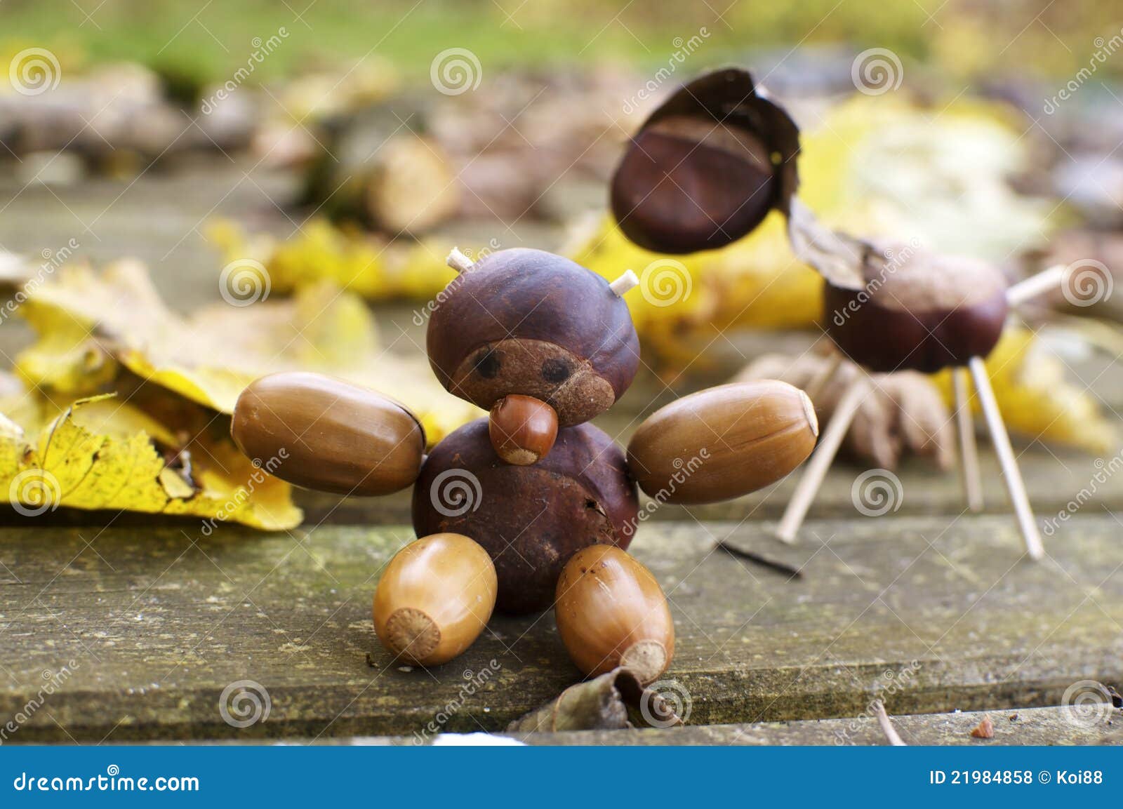 Figure della castagna fotografia stock. Immagine di ghiande - 21984858