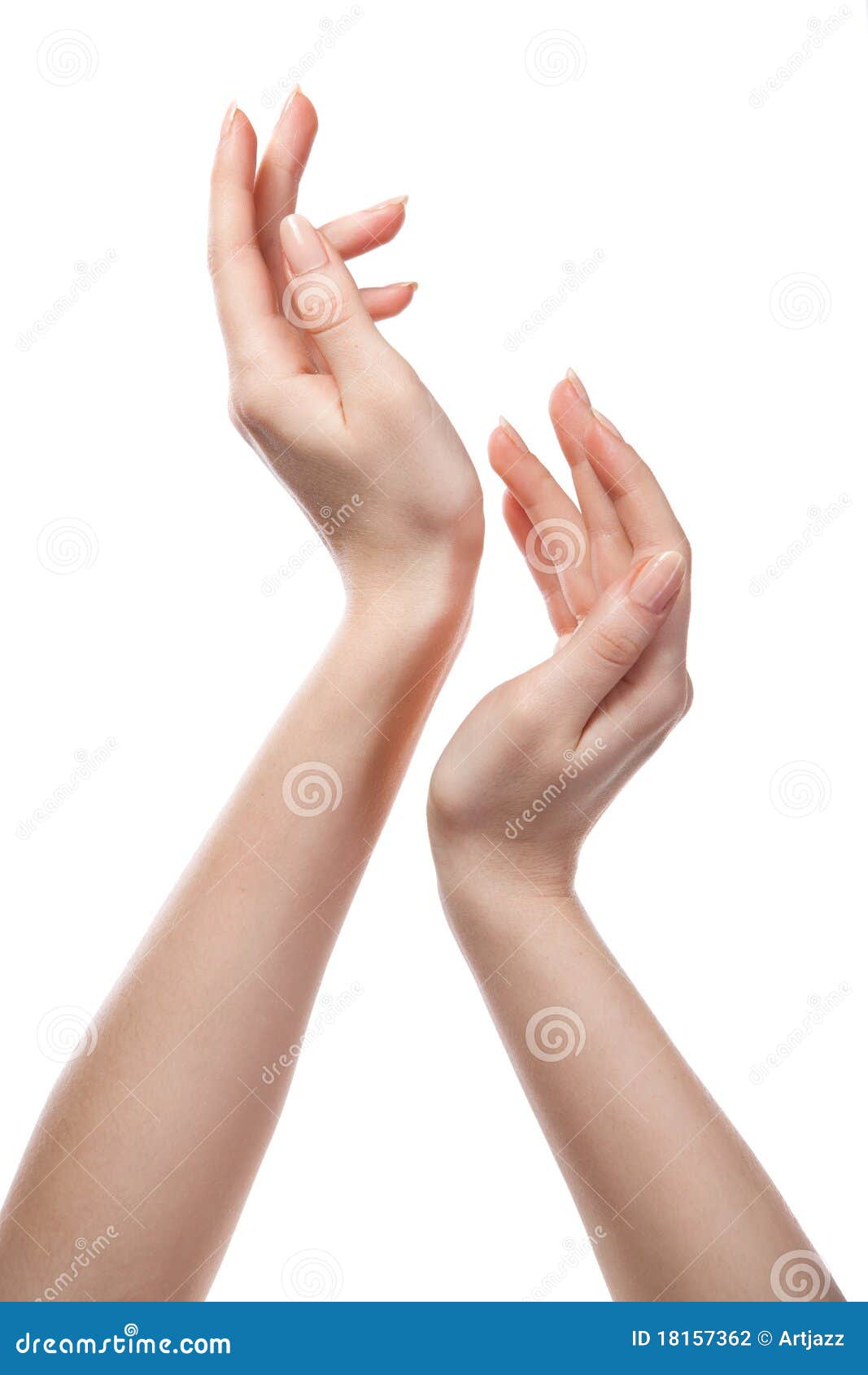 Figure from Female Hands Isolated Stock Photo - Image of beauty, female ...