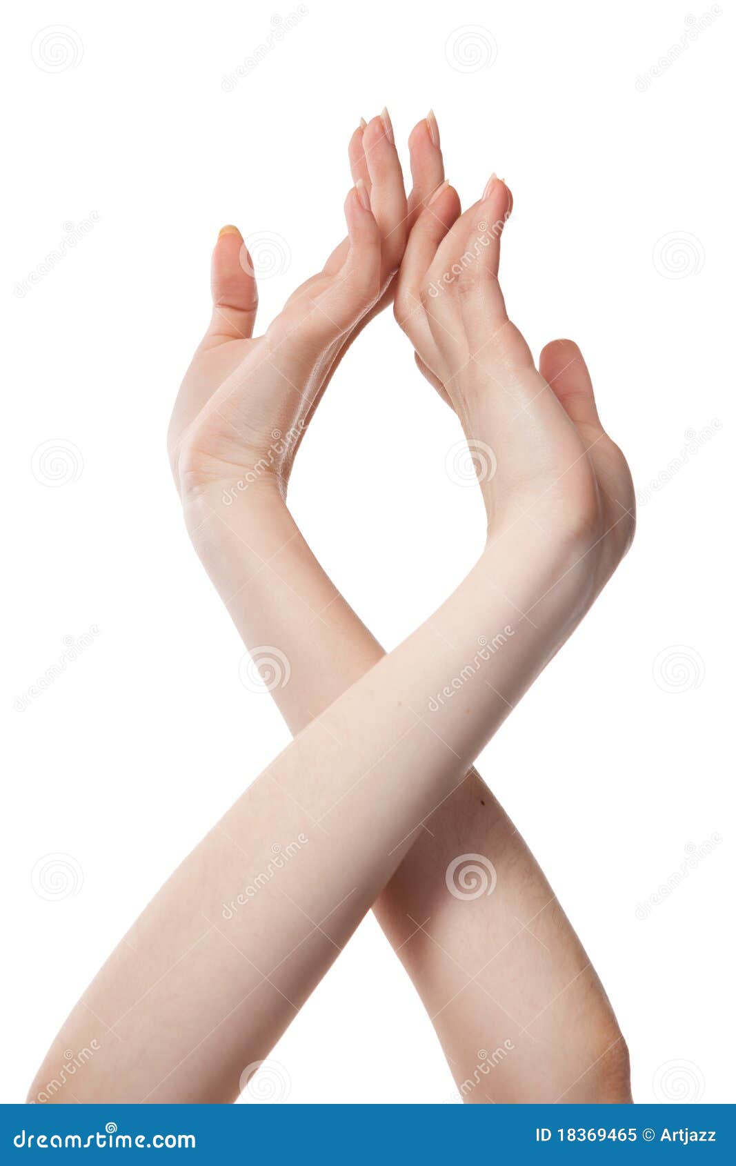 Figure from Female Hands Isolated on White Stock Image - Image of ...