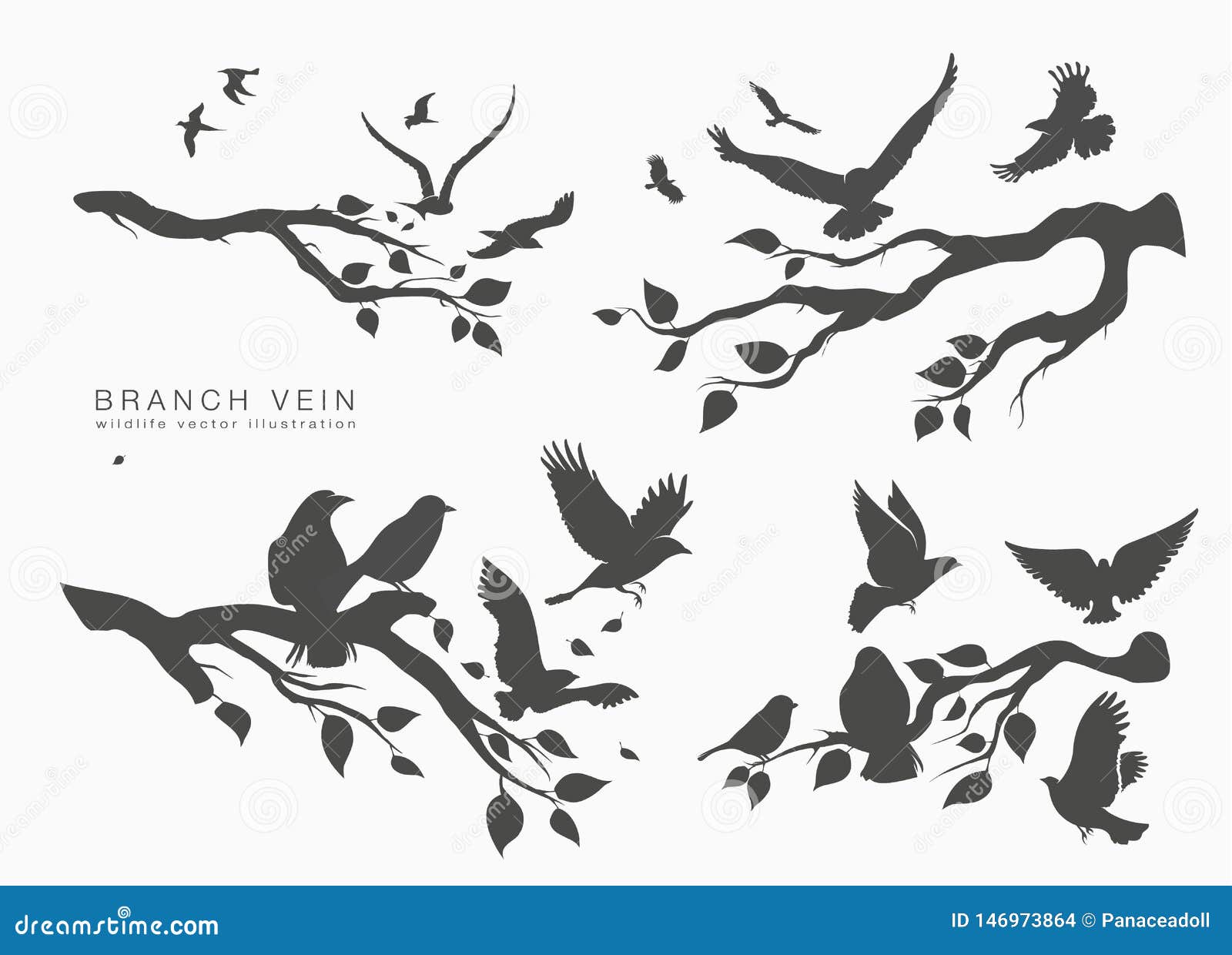 A Flock Of Flying Swallows. Vector Illustration Of Cartoon Swallows For ...