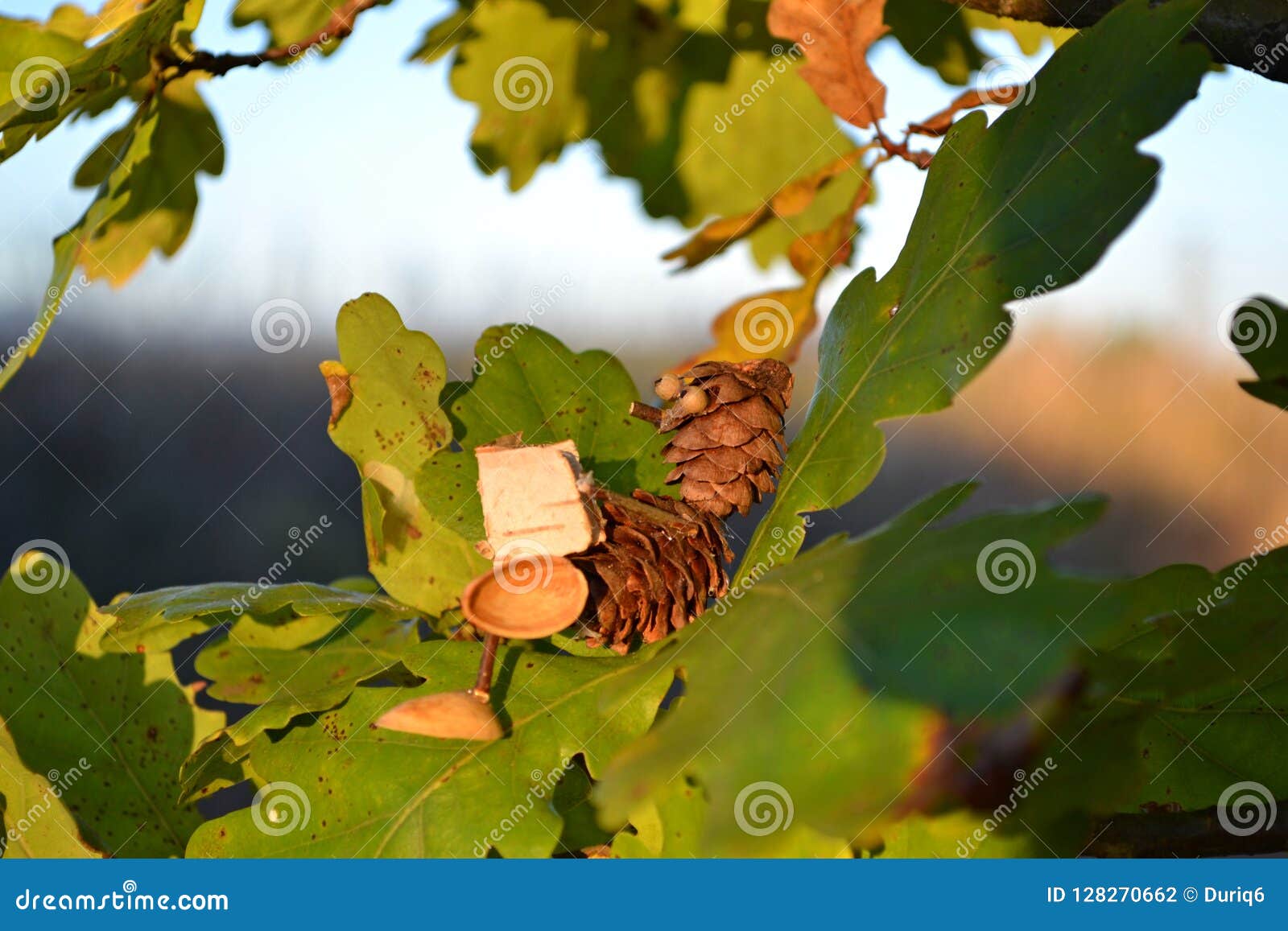 Forest Figure Royalty-Free Stock Image | CartoonDealer.com #128270494