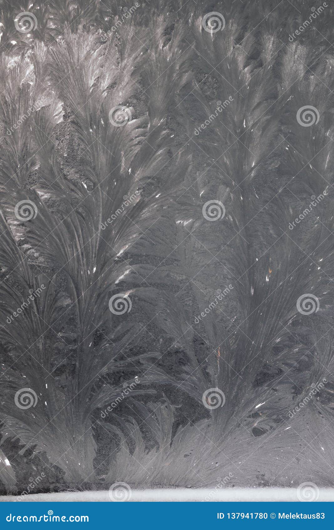 Figure frost on the window stock photo. Image of frost - 137941780