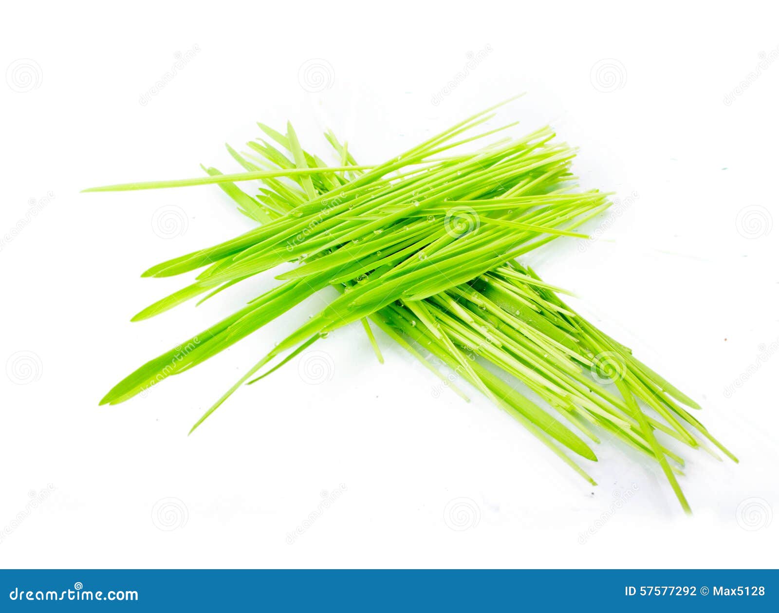 Figure Green Grass Stock Photography | CartoonDealer.com #57577292