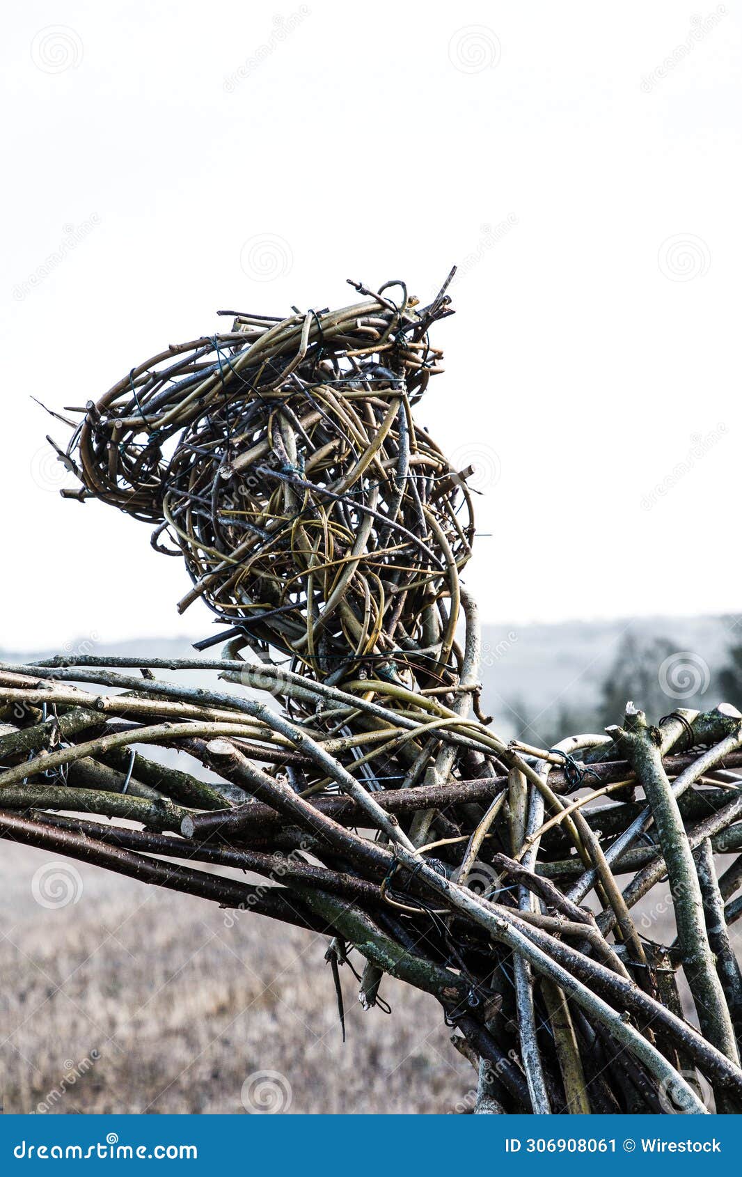 Figure Made of Tree Branches, a Scarecrow Made of Branches Stock Image ...