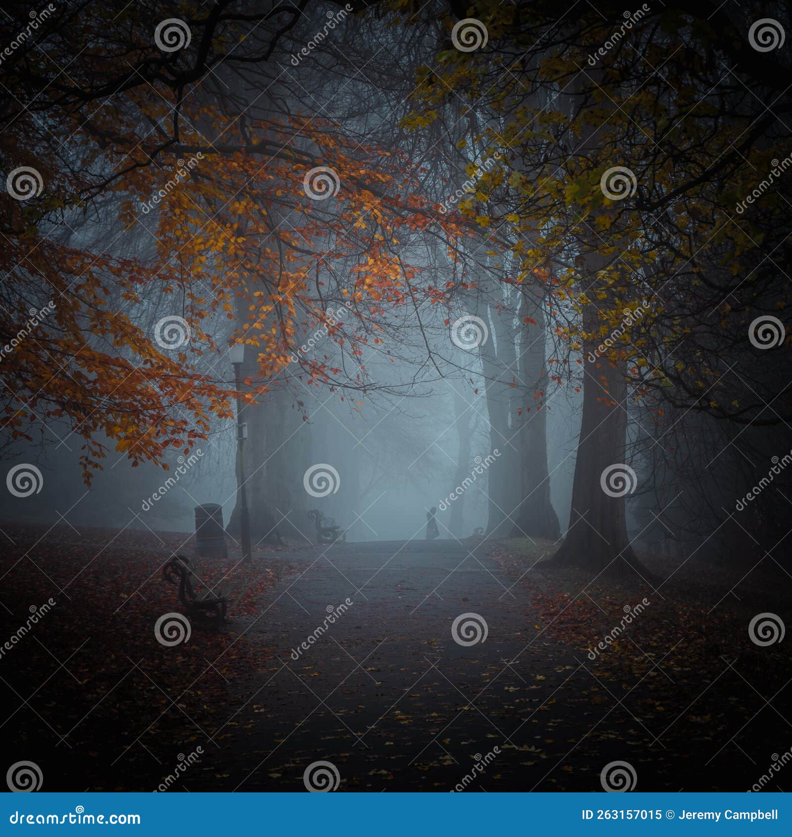 Figure in the Mist in Autumn Stock Image - Image of loneliness, north ...