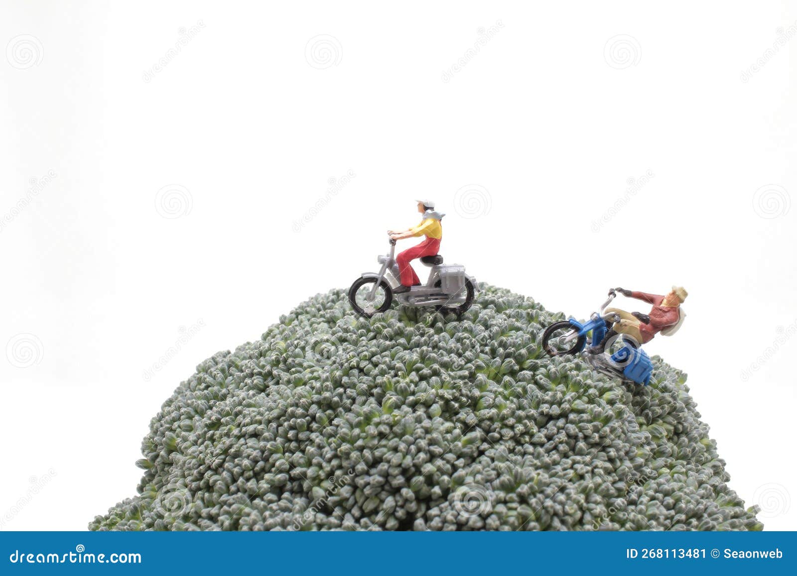 A Figure Riding a Motorcycle on Broccoli Stock Image - Image of health ...