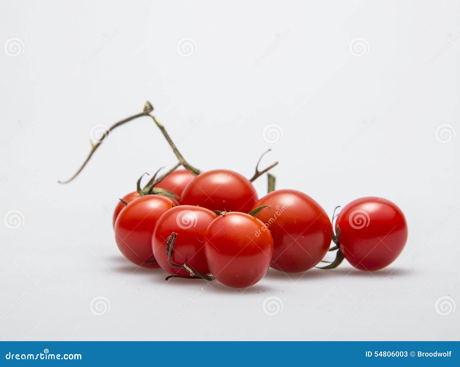Figure Series of Small Tomato Figure 01 Stock Image - Image of common ...