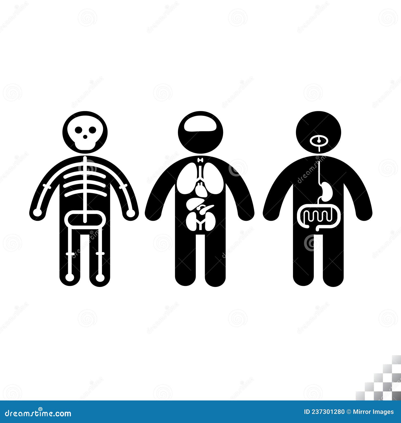 Solid Human Stick Figures Low Height With The Skeletal, Digestive ...