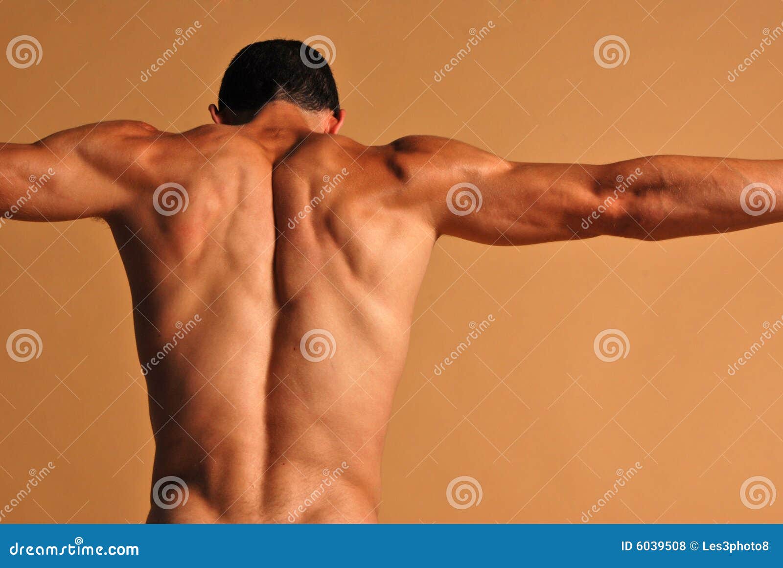 Figure study stock photo. Image of muscular, thin, back - 6039508