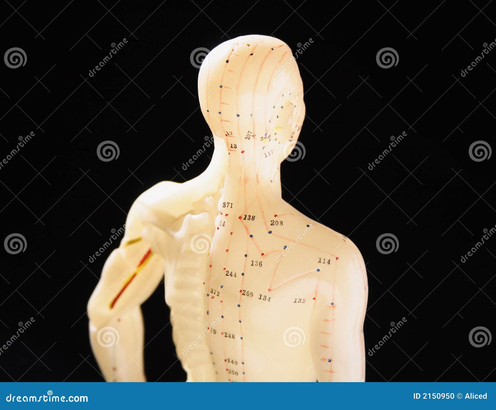 Figure Used in Acupuncture 2 Stock Photo - Image of asian, patient: 2150950
