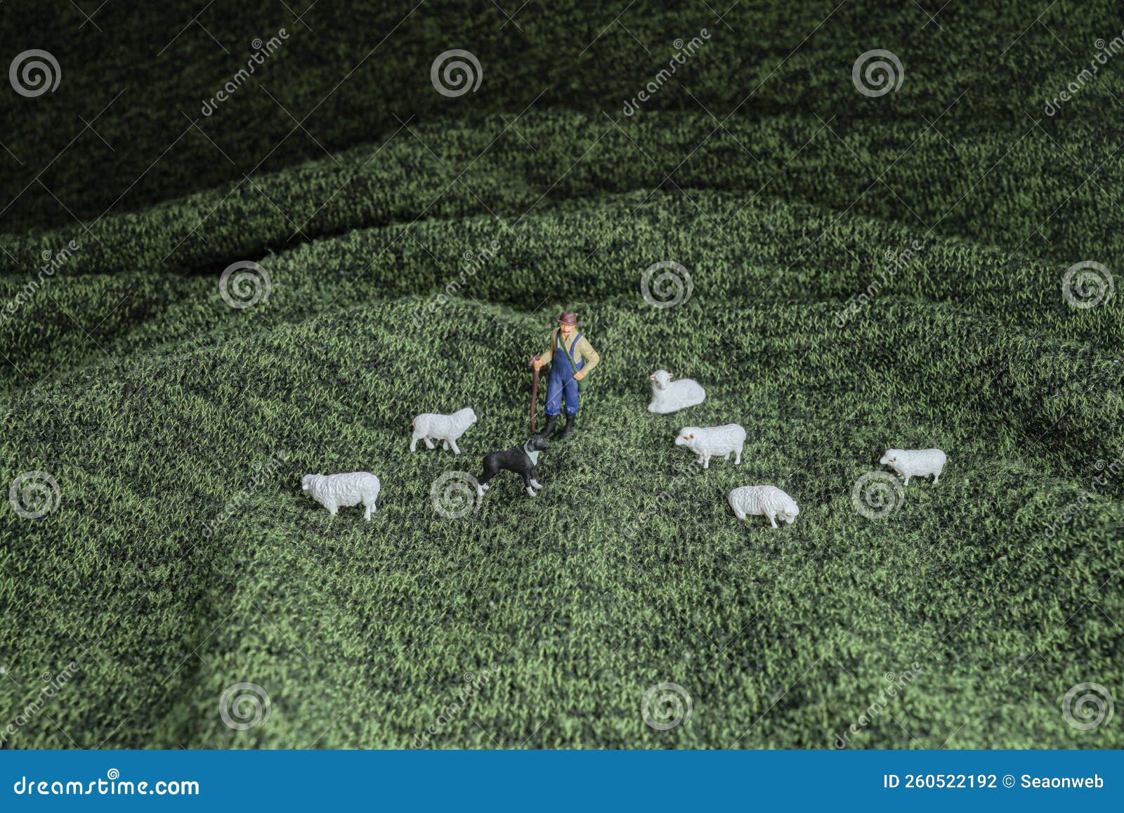 The Figure of Working Sheep Dog, Herding Sheep Stock Photo - Image of ...