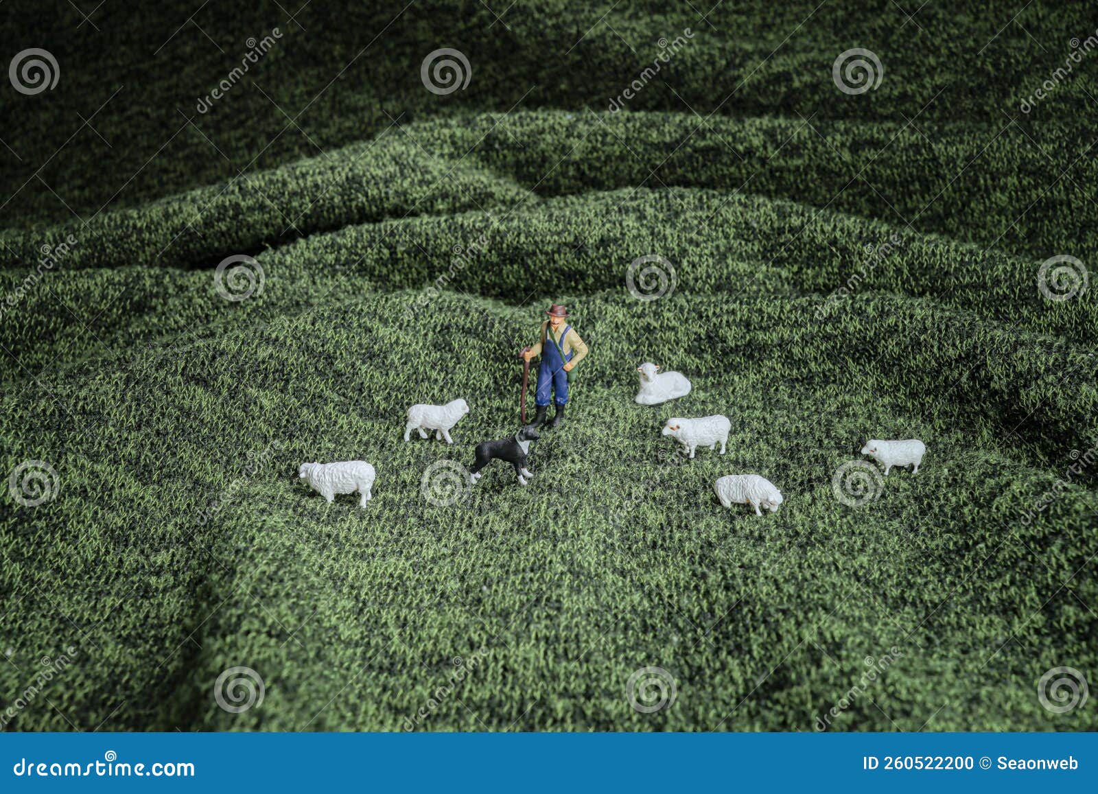 The Figure of Working Sheep Dog, Herding Sheep Stock Photo - Image of ...
