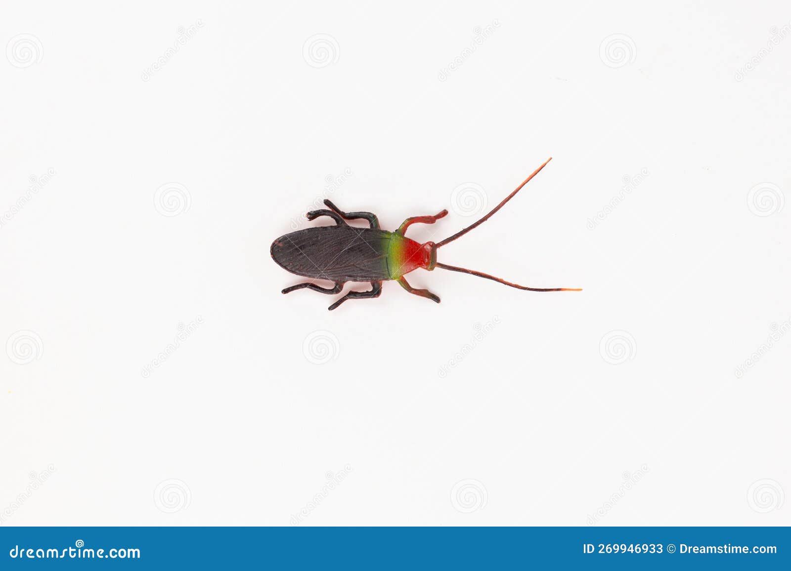 Figurine Cockroach Toy on a White Background Stock Image - Image of ...