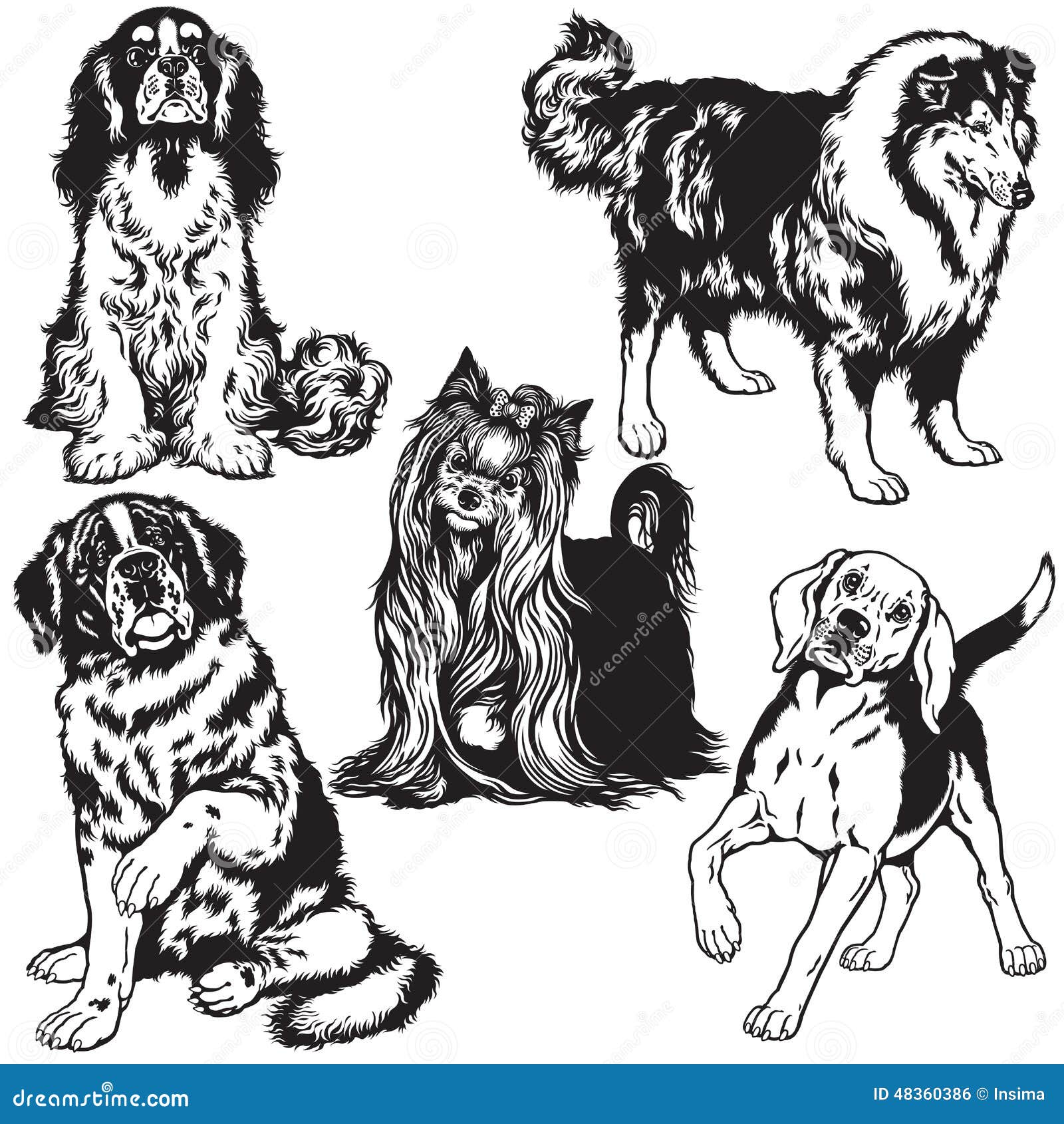 Fije Con Blanco Del Negro De Los Perros Ilustración del Vector ...