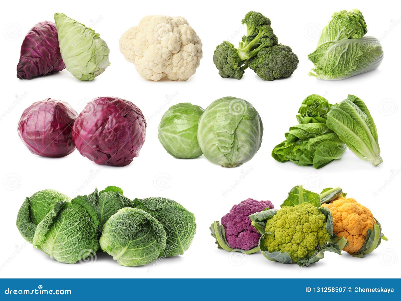 Fije Con Diversos Tipos De Col Imagen de archivo - Imagen de chino ...