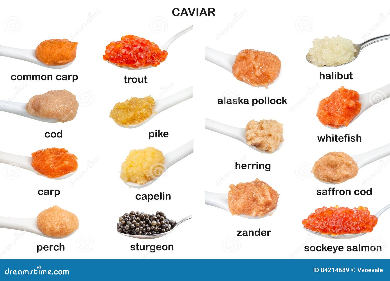 Fije De Las Cucharas Con El Caviar Conservado En Vinagre Con Nombres ... Fije De Las Cucharas Con El Caviar Conservado En Vinagre Con Nombres ...