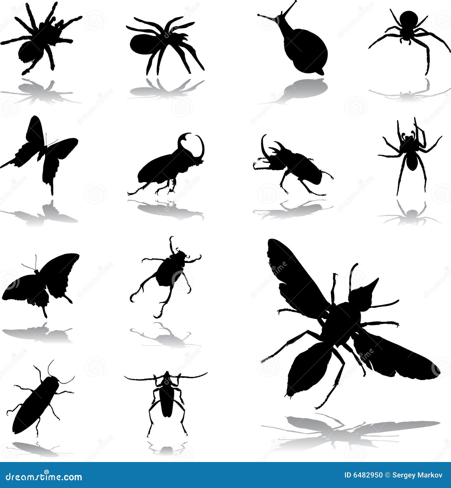 Fije Los Iconos - 79. Insectos Ilustración del Vector - Ilustración de ...
