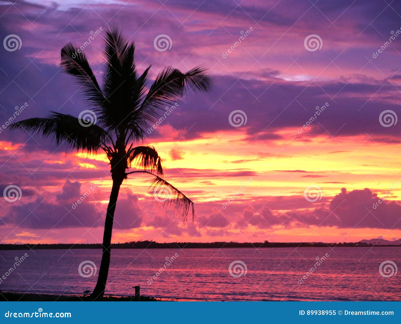 Fiji stock image. Image of sunset, fiji, nature, palmtree - 89938955