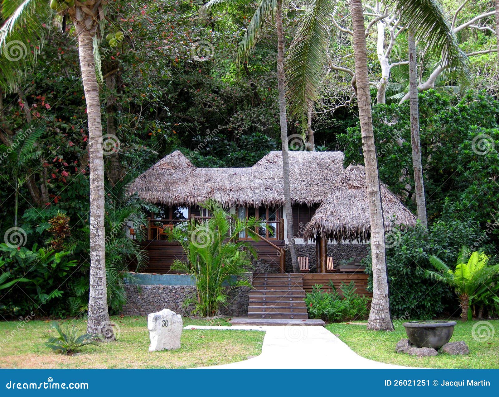 Fijian bure stockbild. Bild von szene, blätter, feuchtigkeit - 26021251