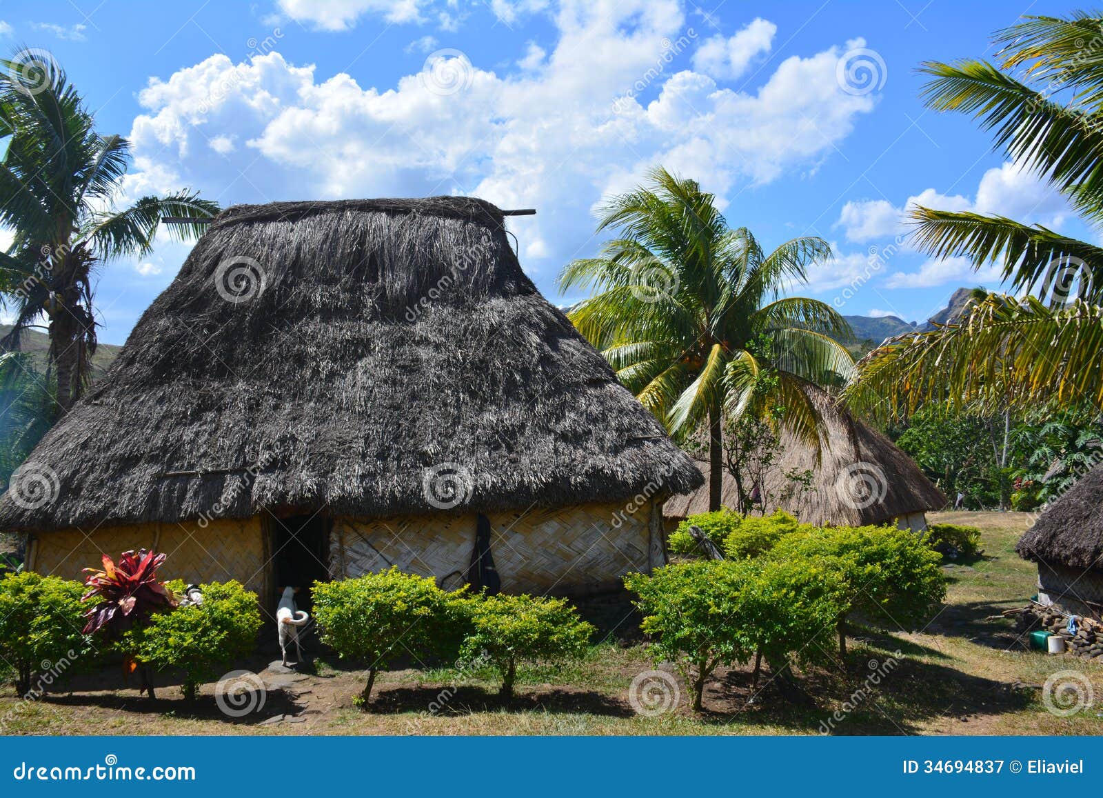 Fijian Traditionally Built House Stock Image - Image of life, village ...