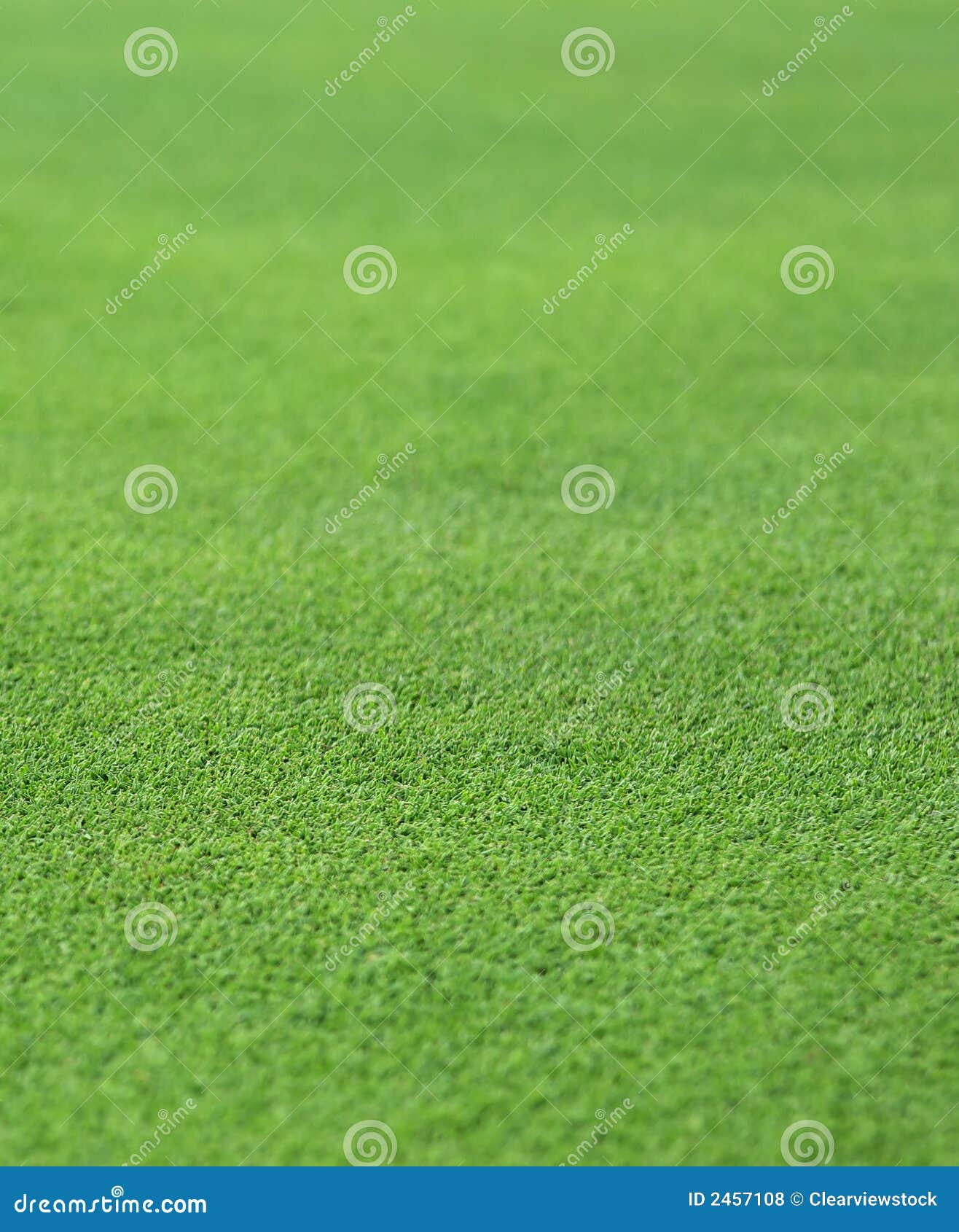 Fijn groen gras stock foto. Image of gemanicuurde, boete - 2457108