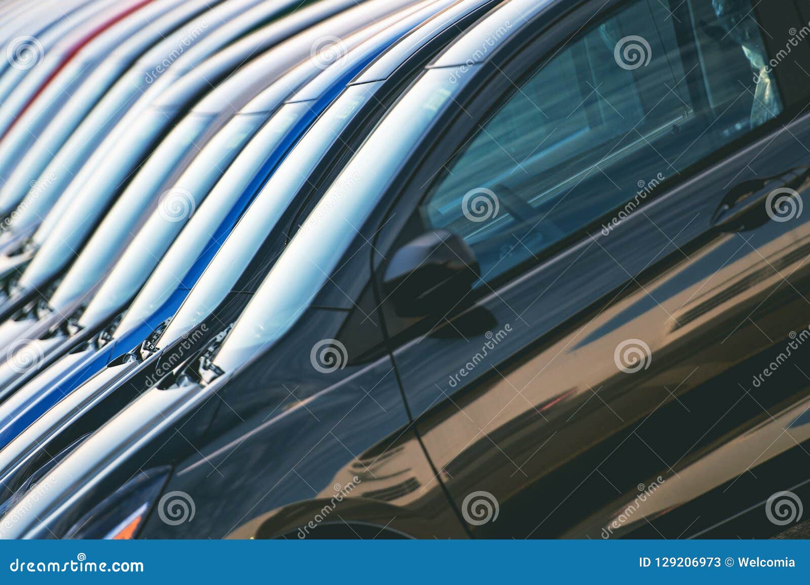 Fila De Los Coches Para La Venta Imagen de archivo - Imagen de ...