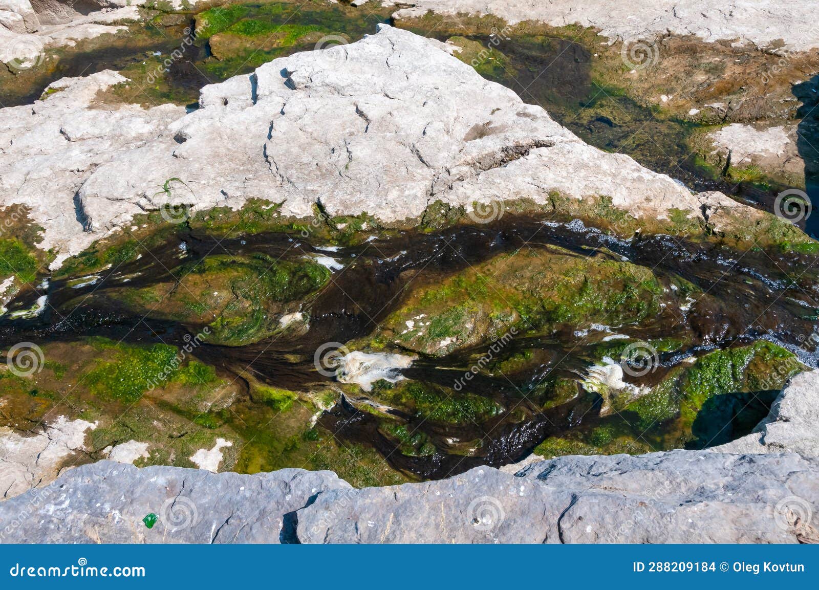 Filamentous Algae in Water Flowing Over Granite Rocks Stock Photo ...