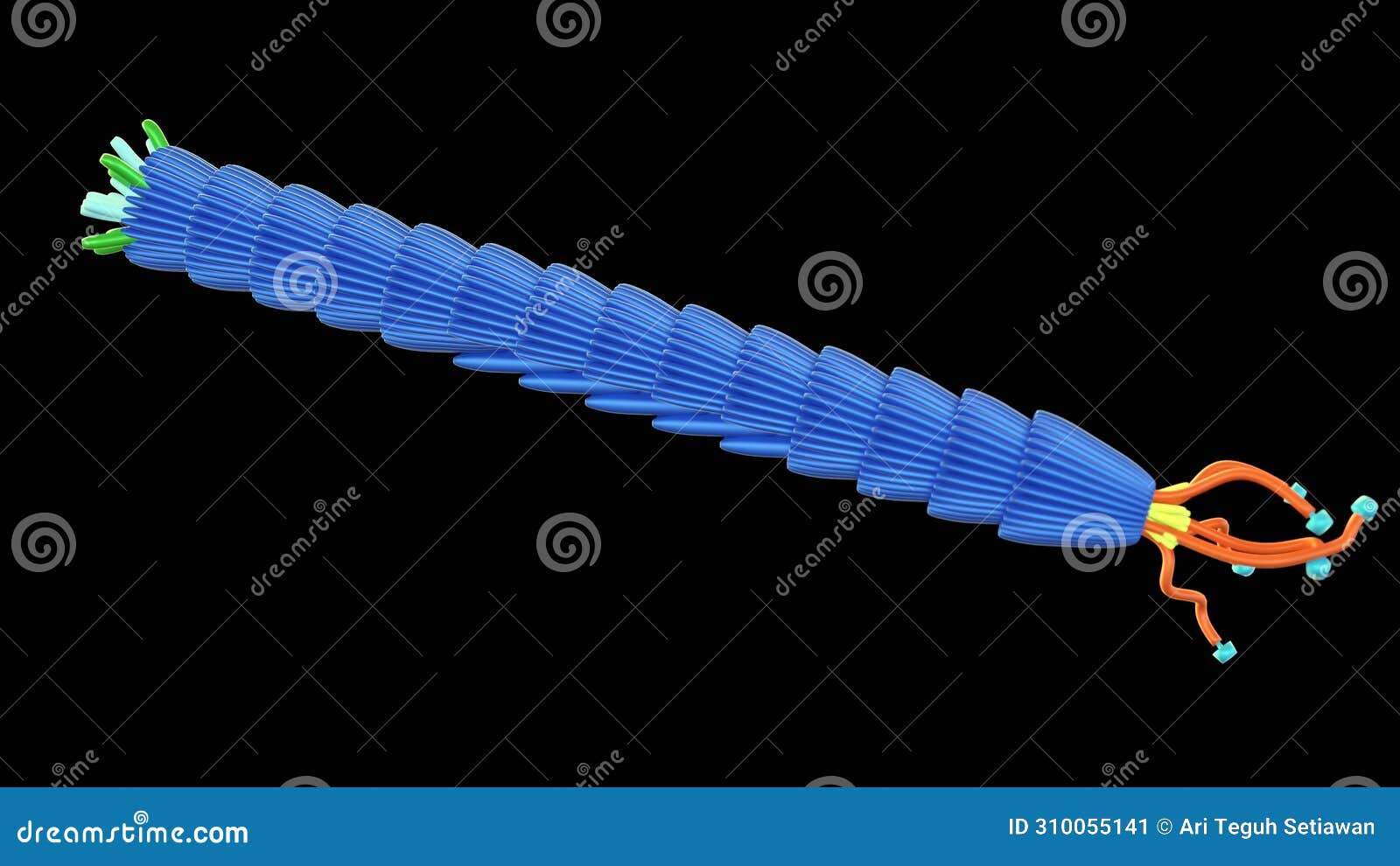 Phage Display Soft Blue Concept Icon Vector Illustration ...