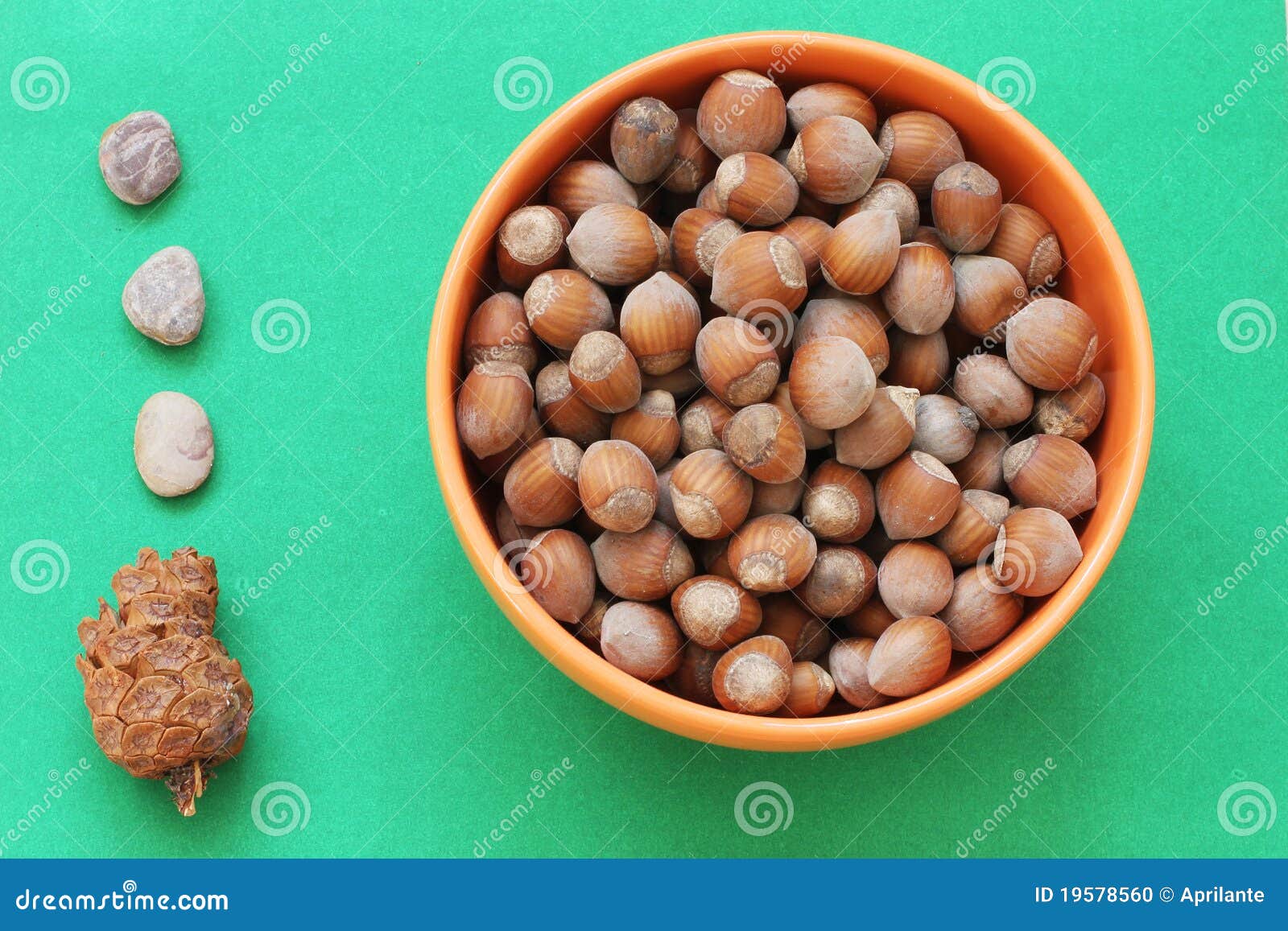 Filbert stock photo. Image of pile, muesli, strobile - 19578560
