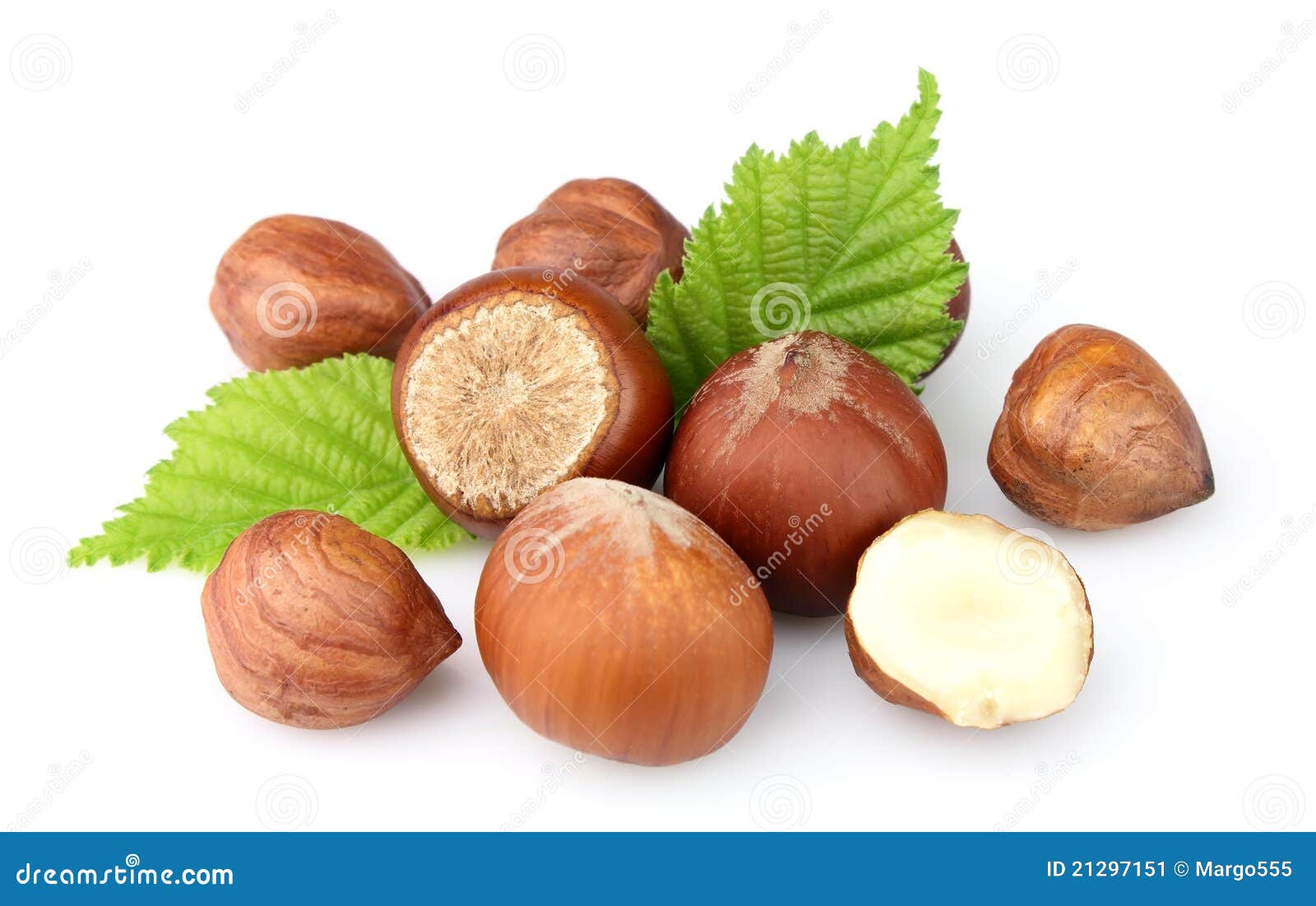 Filbert stock image. Image of kernel, leaves, elegance - 21297151