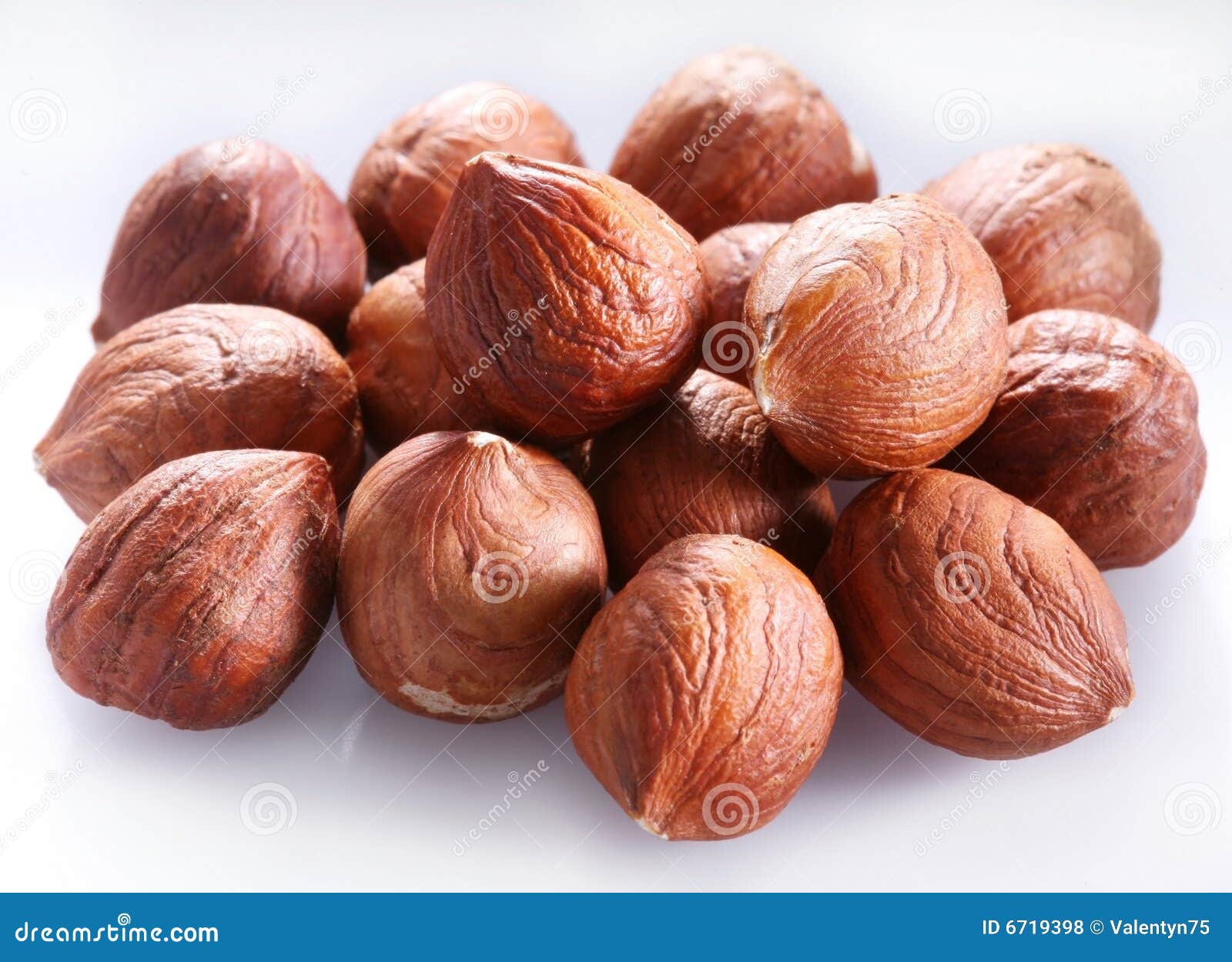 Filbert stock photo. Image of natural, nutlet, nutritional - 6719398