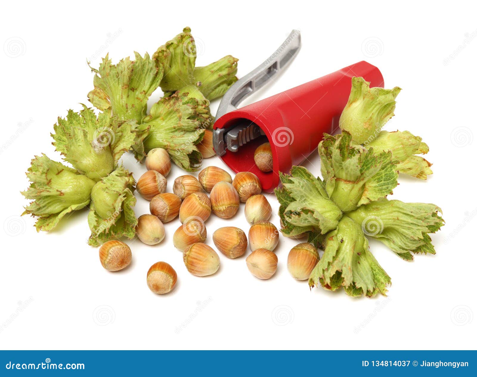 Filbert with Leaves and Nutcracker Stock Image - Image of food ...